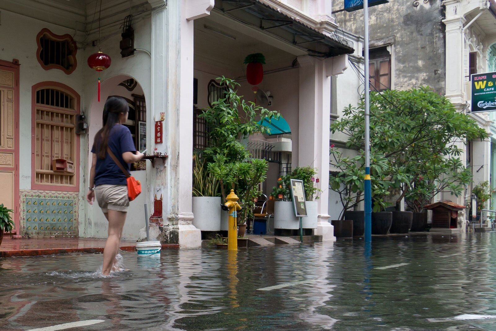 Penang Nature-based Climate Adaptation Programme - OUR WORK | Think City