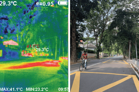 Penang Nature-based Climate Adaptation Programme - OUR WORK | Think City